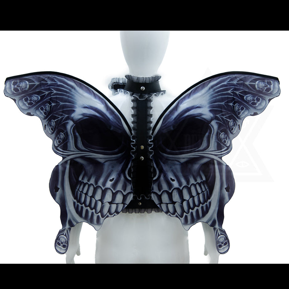 HARNESS – DEVILISH