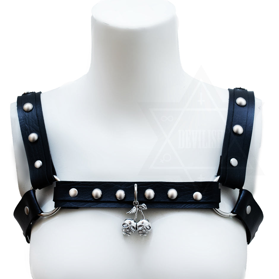 HARNESS – DEVILISH