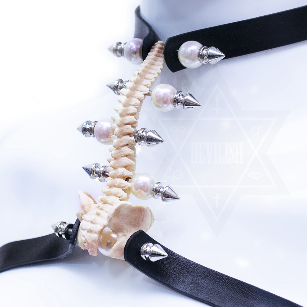 Bone collection harness – DEVILISH